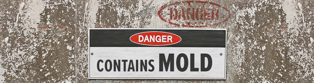 Hazardous materials in construction, how to identify and avoid them